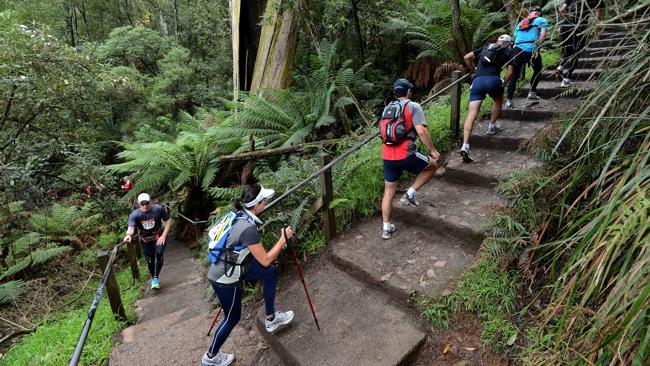 Melbourne's Best Running Tracks | Peak Nutritionals